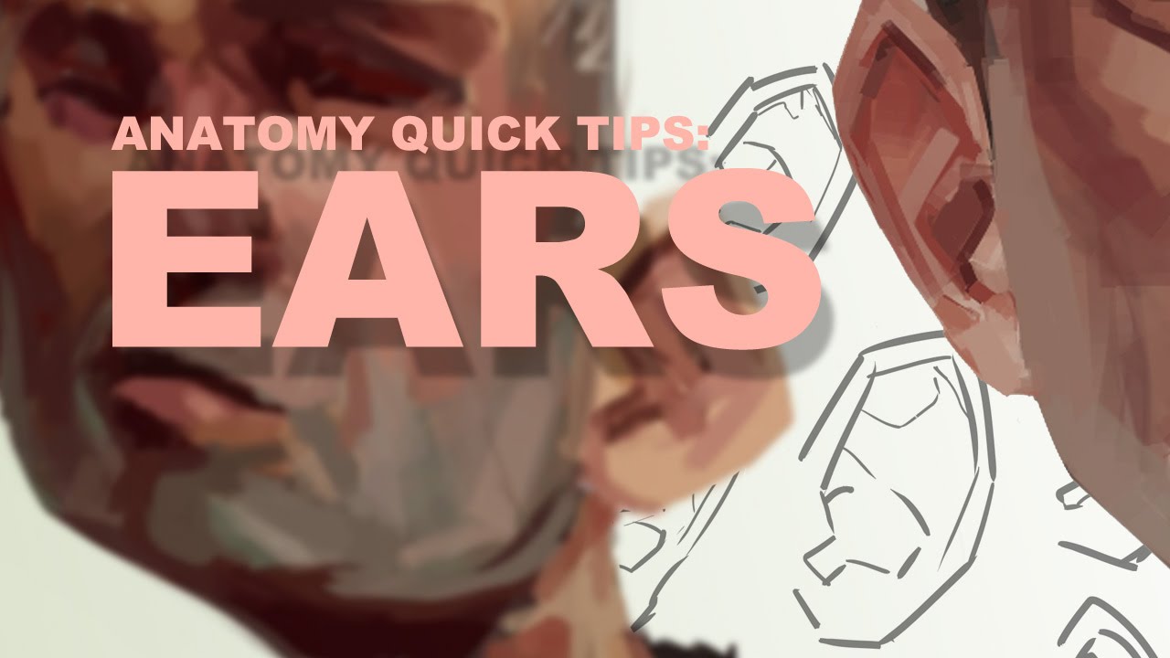 Anatomy Quick Tips: Ears