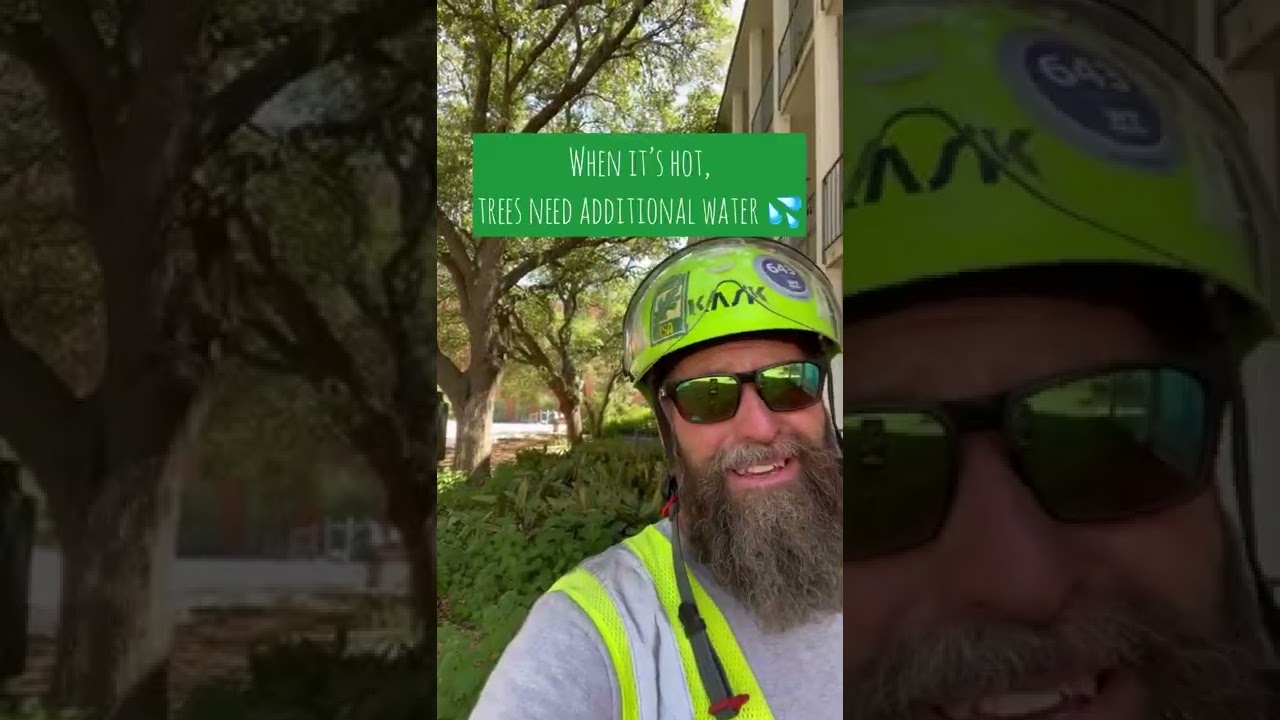 Essential Tip to Preserve Your Trees During Construction!🌳 🚧