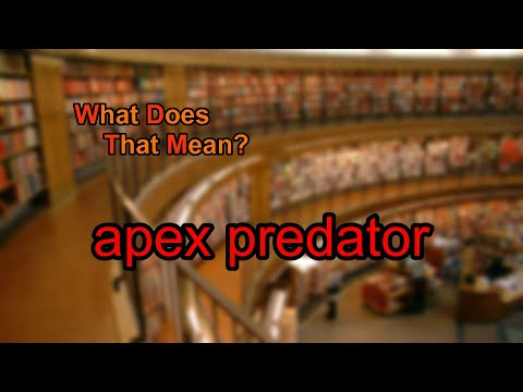 What does apex predator mean?