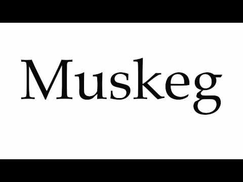 How to Pronounce Muskeg
