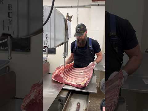 Cutting Bison Short Ribs πͺ𦬠#shorts #bison #butcher #butchering