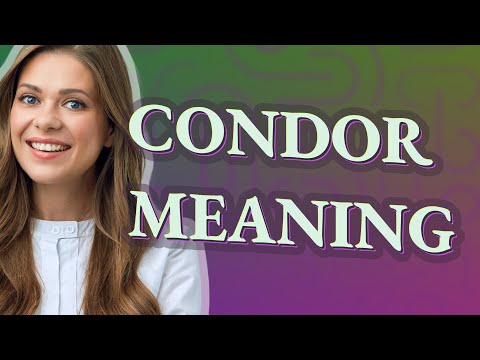 Condor | meaning of Condor