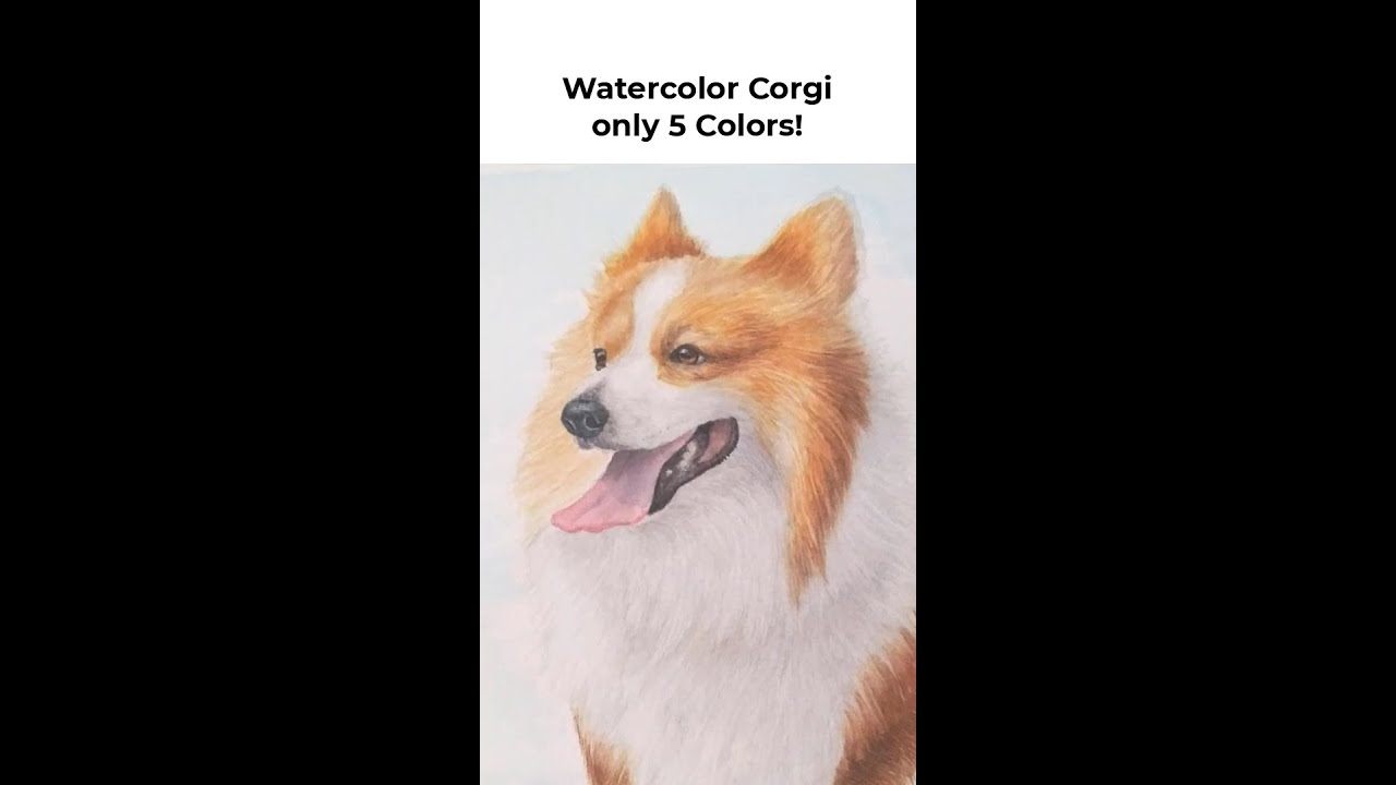 Watercolor Corgi only 5 Colors! #shorts
