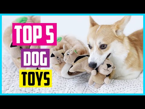 ✅ Best dog toys on amazon in 2024