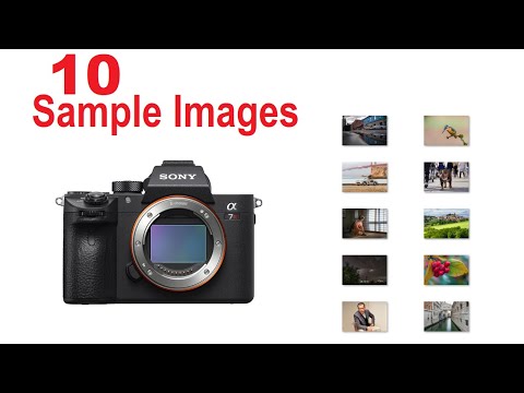 Sony a7R IV Sample Images ILCE-7RM4 [Photo Gallery] Highly Capable Camera For Impressive Stills