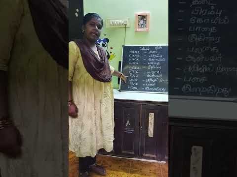 words ending with "-ane" gives pronunciation as"-aen"#shorts#spokenenglish#sathya#education