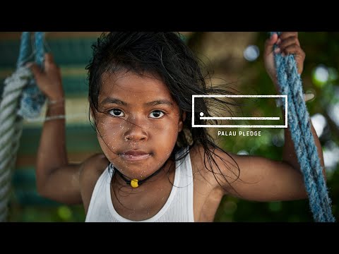 The Palau Pledge for a Pristine Paradise. Palau