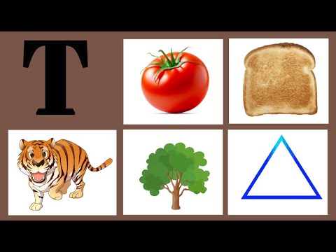 T For Tiger || words starting with Letter T || #preschool #alphabet T #kidsvideo #kindergarten