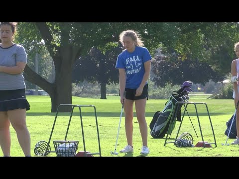 MOSQUITOES AFFECT GOLFERS