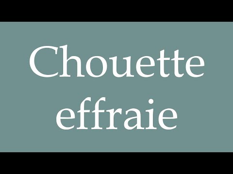 How to Pronounce ''Chouette effraie'' (Barn owl) Correctly in French