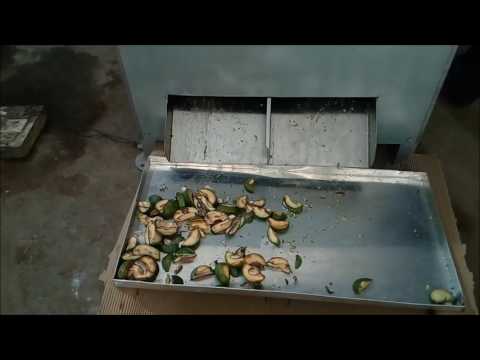 Raw Mango Cutting Machine - Green Mango Cutting Machine Latest Price ...