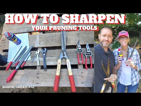 ✂ How to Sharpen Your Pruning Tools - QG Day 143 ✂