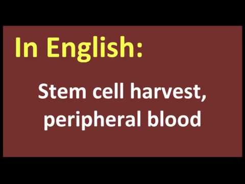 Stem cell harvest, peripheral blood spanish MEANING