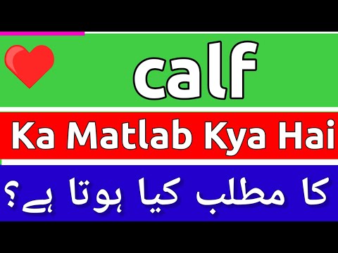 Calf Meaning In Urdu | Calf Ka Matlab Kya Hota Hai | Calf Ka Meaning Kya Hai | Calf Ka Matlab