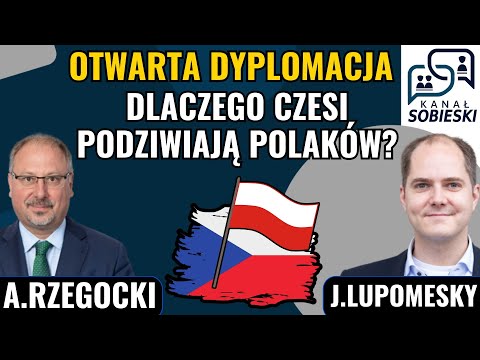 Co Czesi uważają o Polakach i jakie mamy opcje do współpracy? - A.Rzegocki i J.Lupomesky