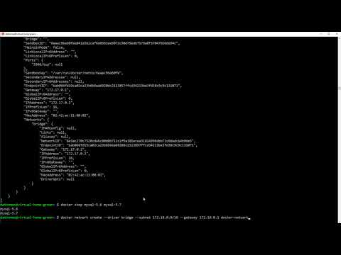 Docker 101: How To Assign Static IP to Docker Containers