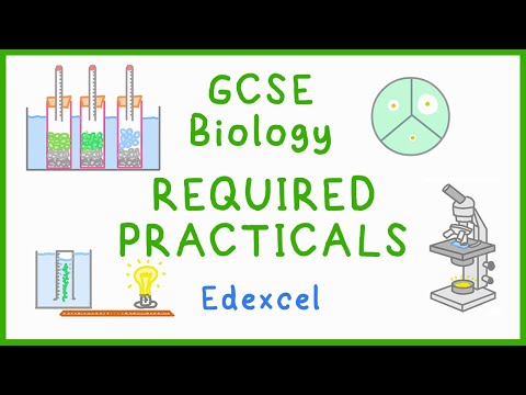 All BIOLOGY Required Practicals - GCSE Science (Edexcel)