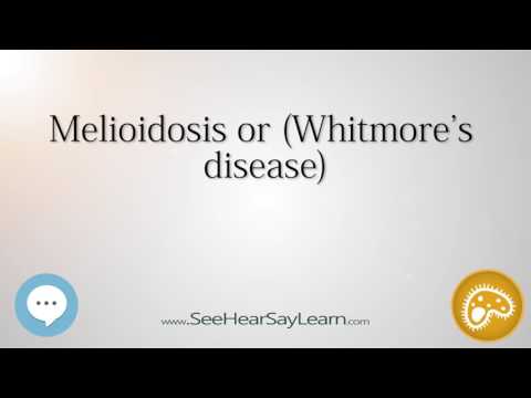 Melioidosis or Whitmore's disease 🔊