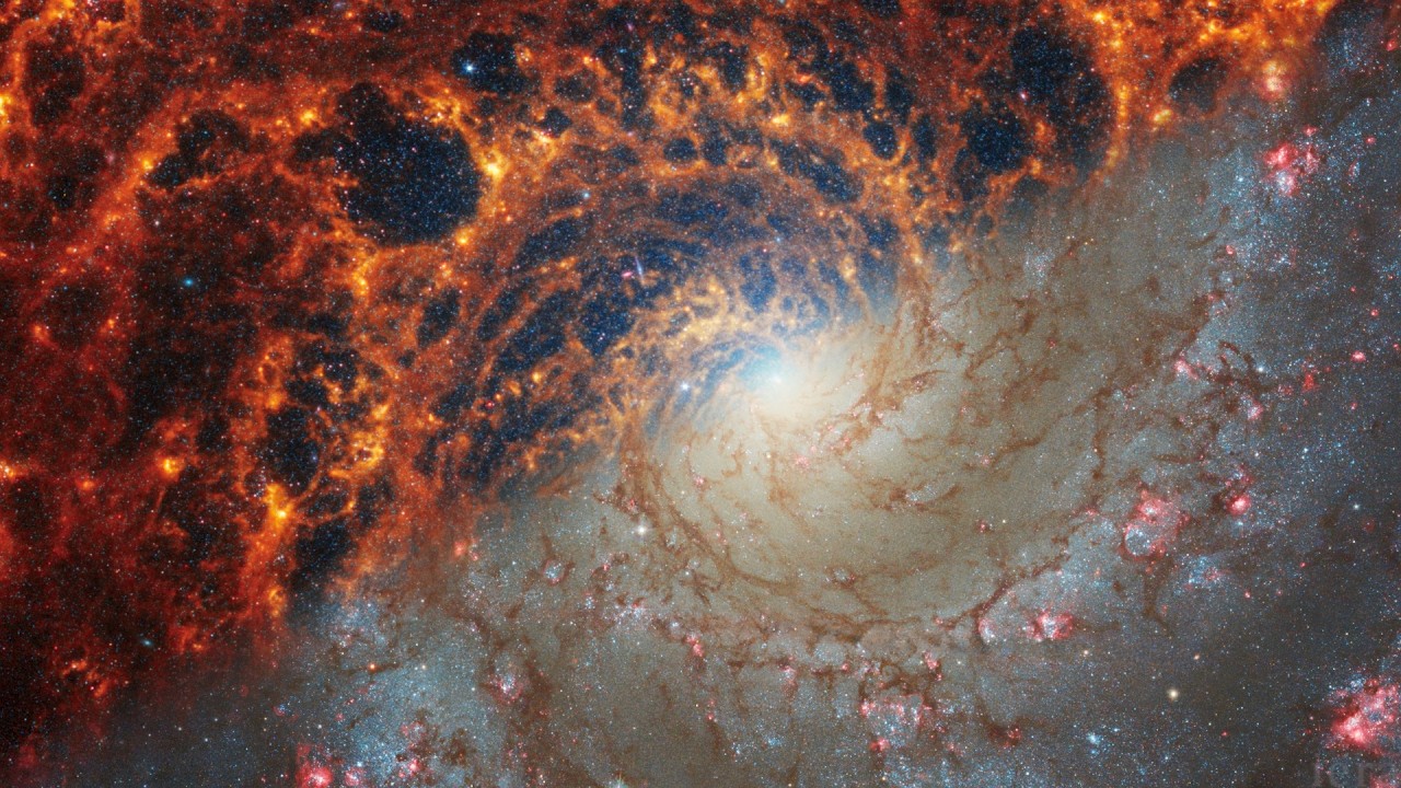 The Most Beautiful Spiral Galaxies