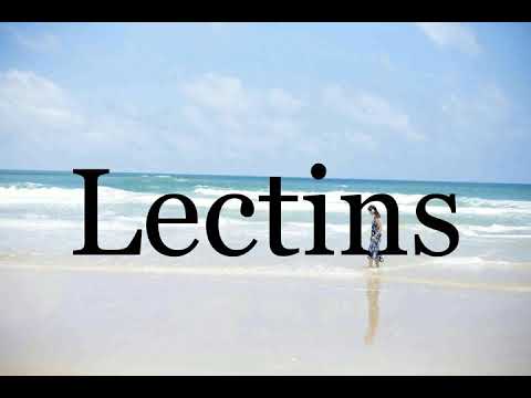 How To Pronounce Lectins🌈🌈🌈🌈🌈🌈Pronunciation Of Lectins