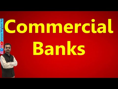 Commercial Banks Class 11 / 12 | Commercial Banks in Hindi | Commercial Banks and its Functions