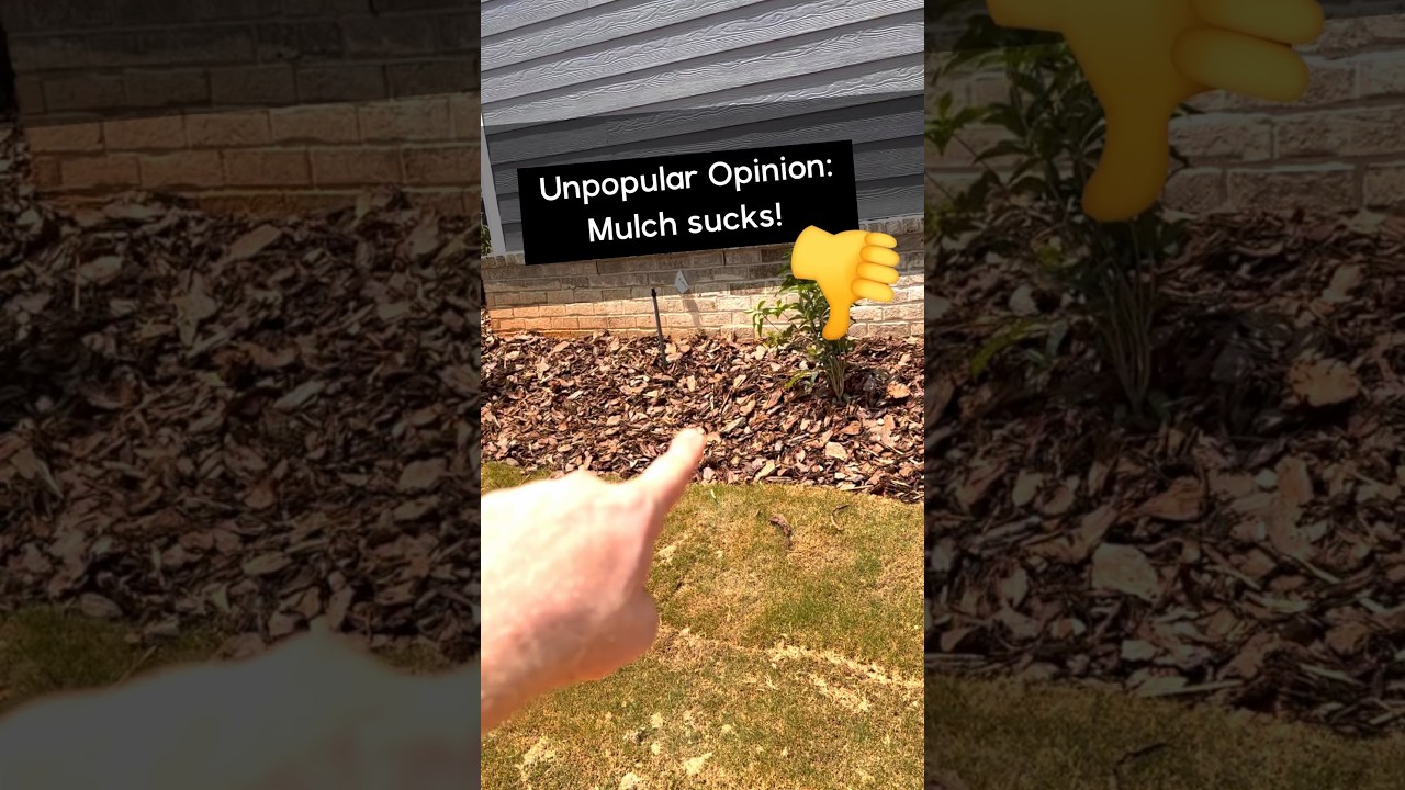 Unpopular Opinion: Mulch sucks! 👎
