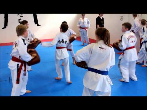Young and promising minor Taekwondo of Iceland