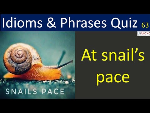 Idioms and Phrases 63 | At snail's pace | Idioms and Phrases with meanings |