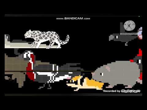 Taiga Animals Stampede - @TheKidsPictureShow