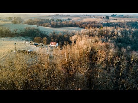 Off-Grid Cabin On 40 Acres For Sale (Crawford Co, WI)