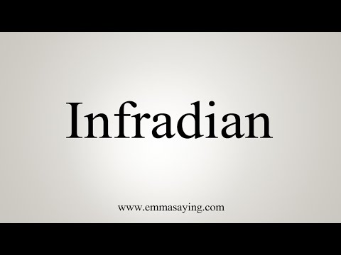How To Say Infradian
