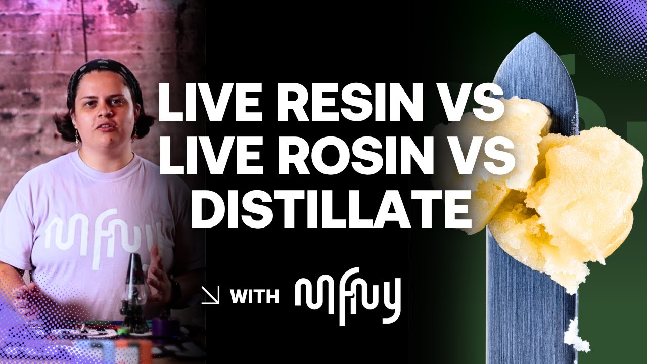 Live Resin vs Live Rosin vs Distillate. Which is better? MFAQ