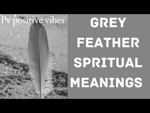 @PVPositiveVibes1111 Grey feather angels messages¶ are you seeing grey feathers this is your sign🌸