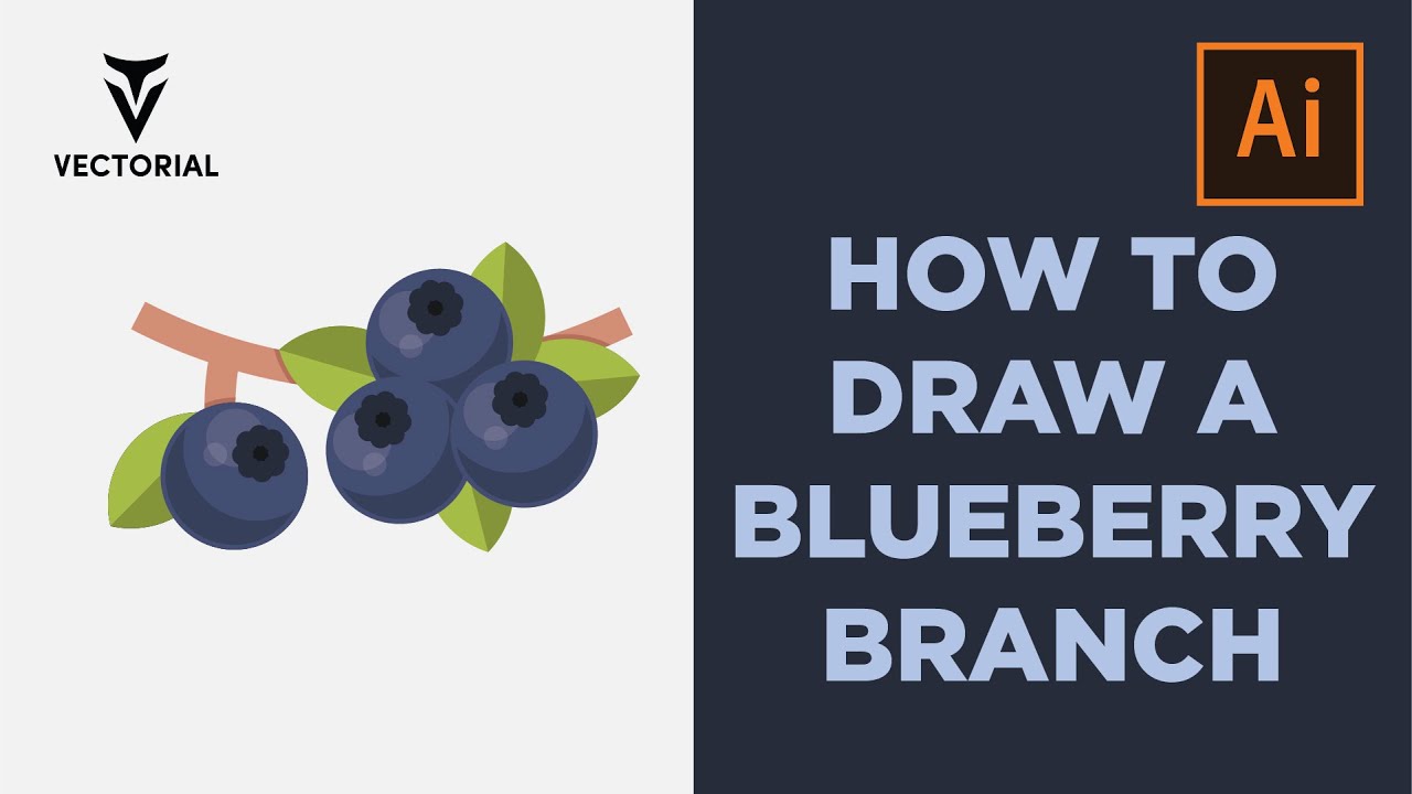 How to draw blueberry branch in Adobe Illustrator