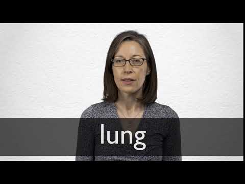 How to pronounce LUNG in British English