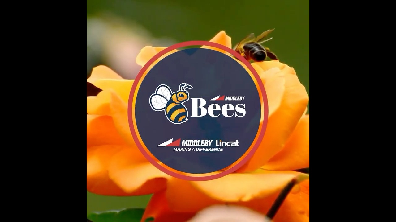 Middleby & Lincat Make a Difference at Halwin School – In Partnership with The Sparkle Foundation!