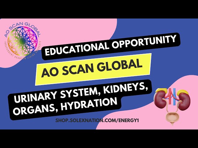 Understanding Kidney Markers and the Urinary System's Vital | Galaxy.ai