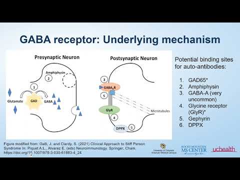 Webinar: Stiff Person Syndrome with Dr. Amanda Piquet