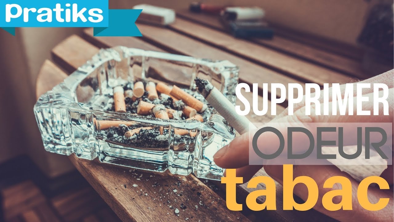 Odeur Cigarette Voisin Vmc