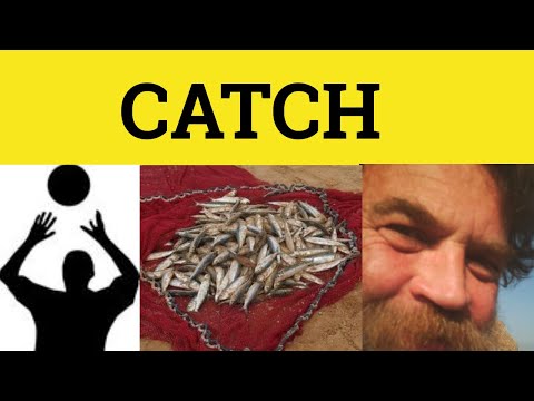 🔵 A Catch (noun) - Catch Meaning (snag) - Catch Examples (fastener)