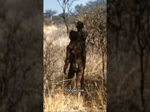 the impact of hunter gatherer societies