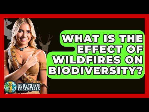 What Is The Effect Of Wildfires On Biodiversity? - Ecosystem Essentials