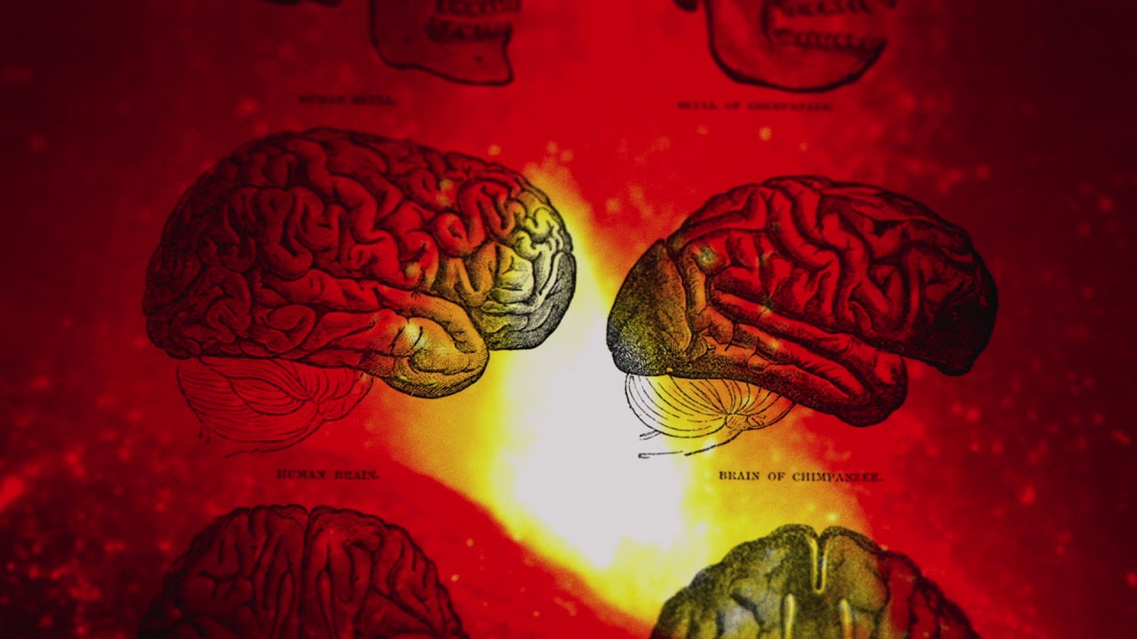 JANE Trailer | PÖFF 2017