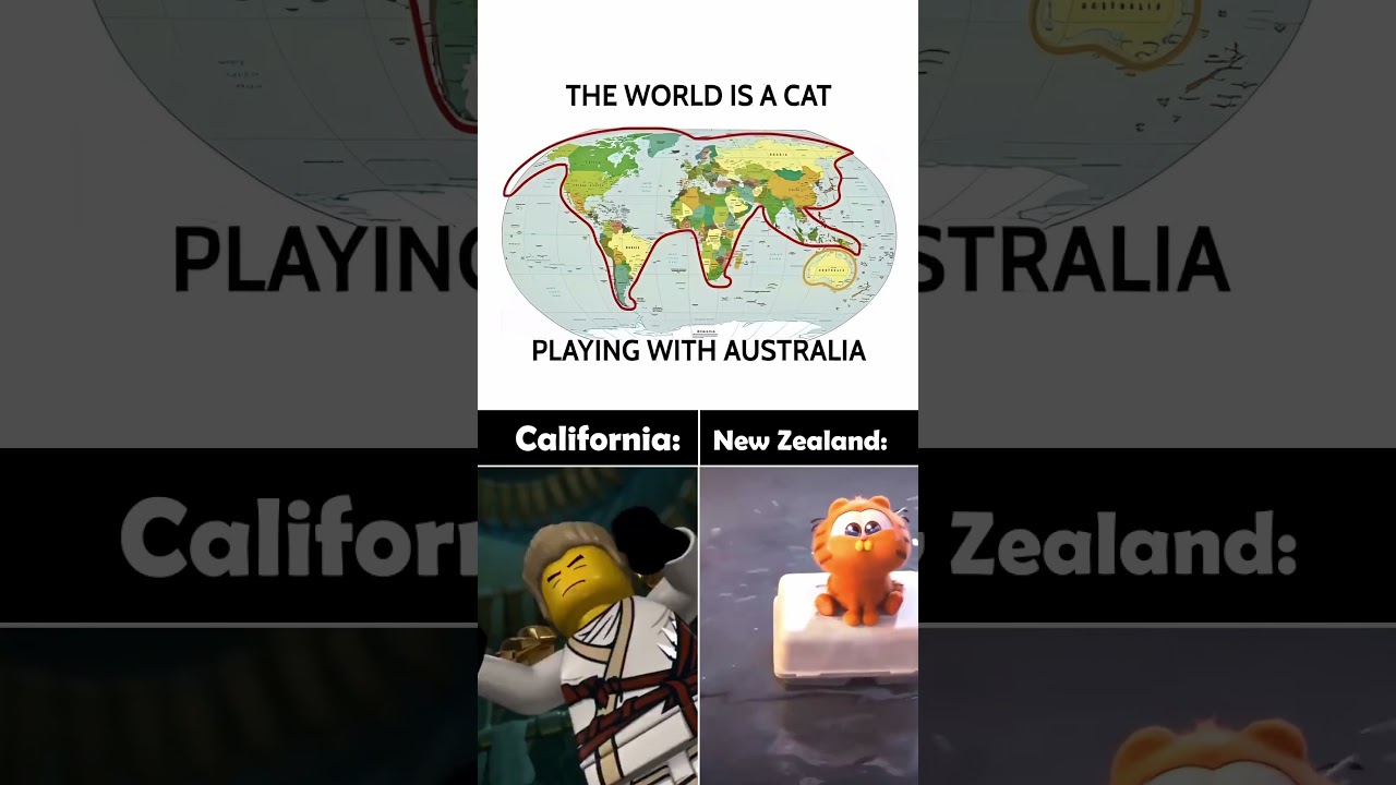 The world is a cat 🤯