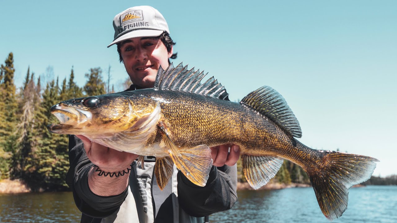 Scientific Secrets for Post-Spawn Walleye Fishing