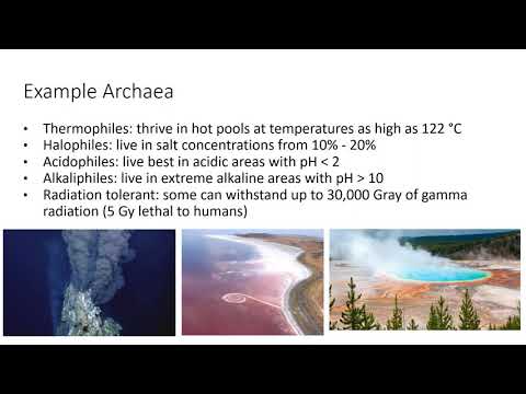 Diversity of Life - Viruses, Bacteria, Archaea