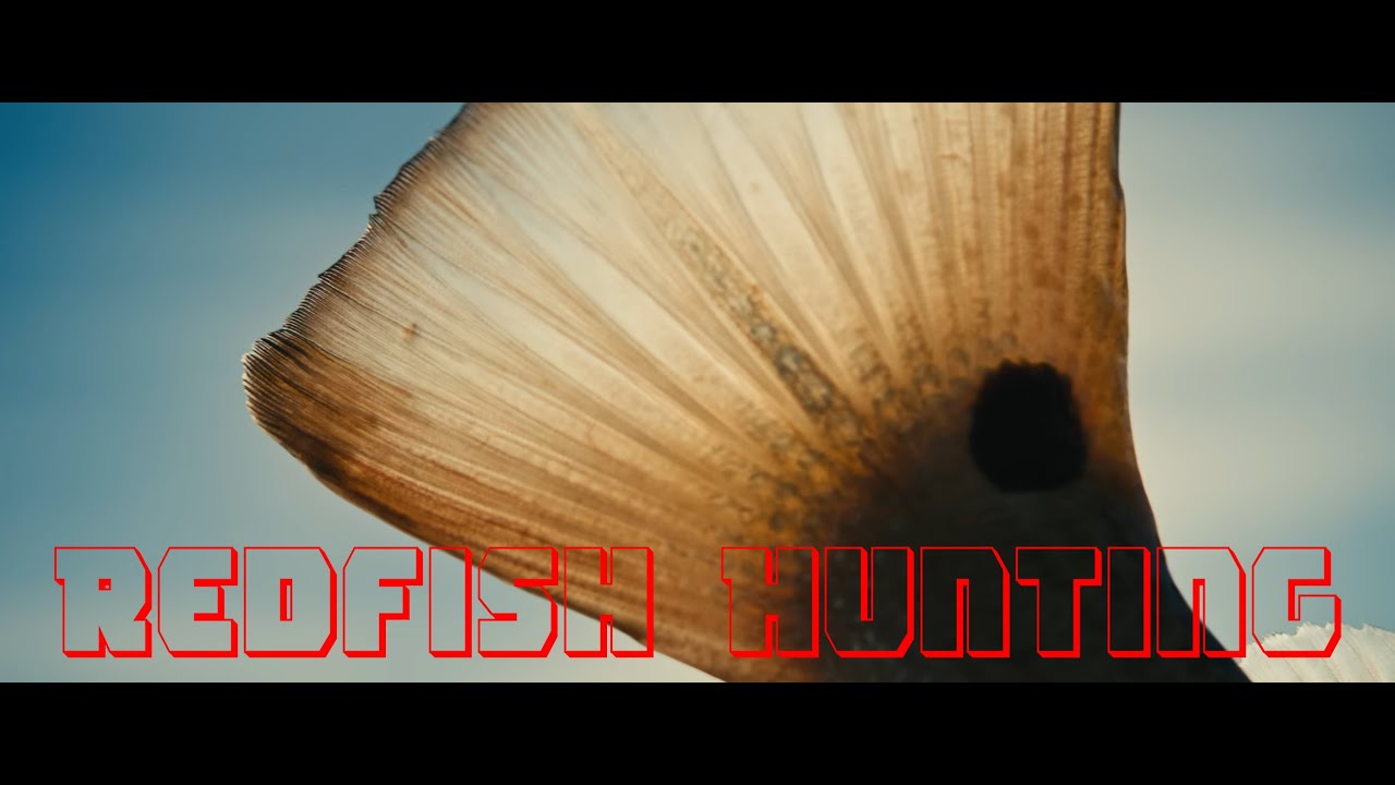 Exploring Redfish Hunting and Tower Fishing in Dularge, Louisiana ...