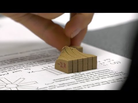 RIT Students Learn Math with 3D-Printed Models