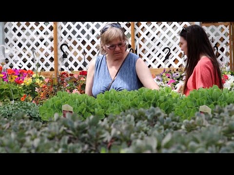 AgweekTV: New Tree Nursery & Flower Farm in Southern MN