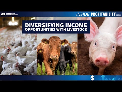 Inside Profitability: Diversifying Income Opportunities with Livestock